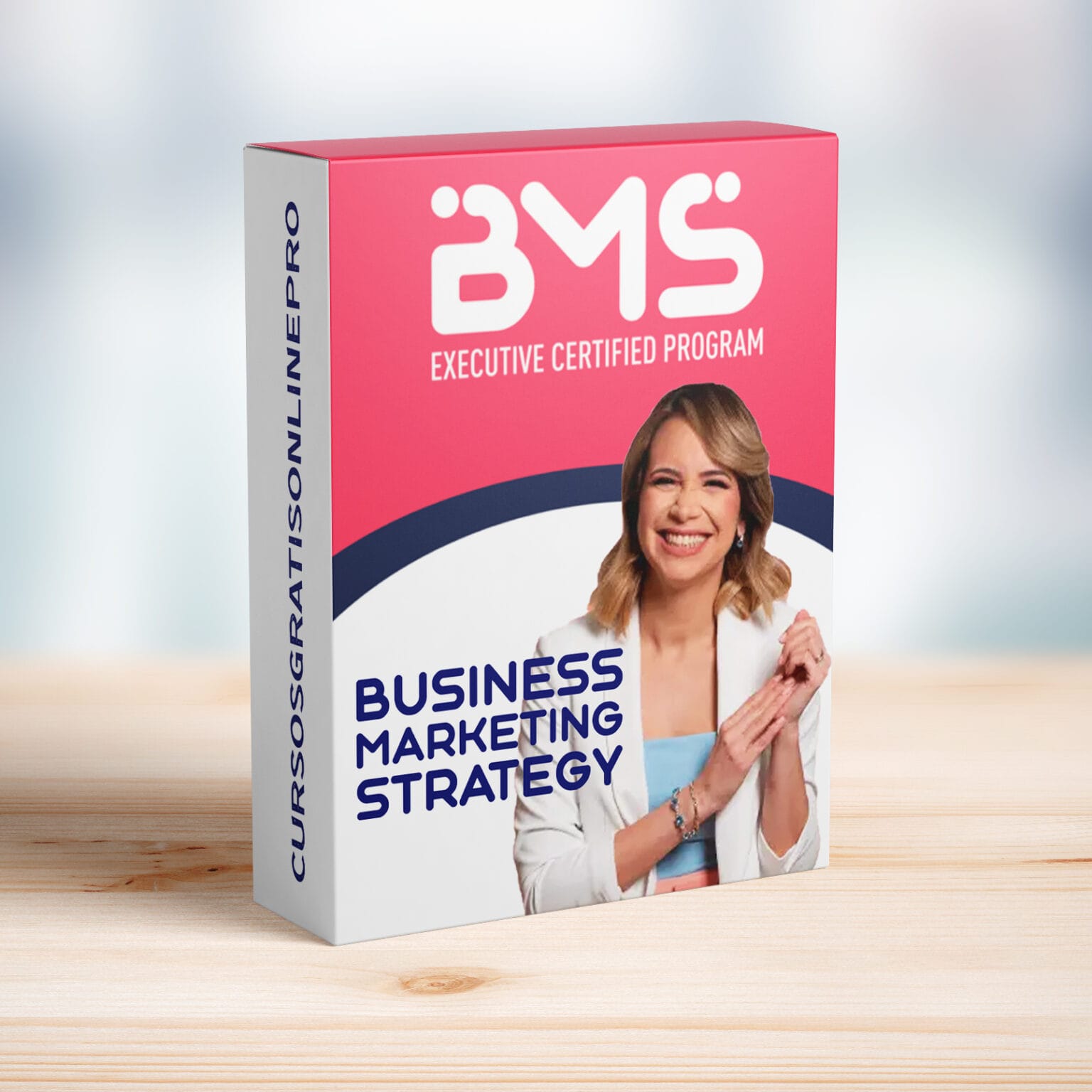 Curso Business Marketing Strategy – BMS - Cursos Gratis Online Pro